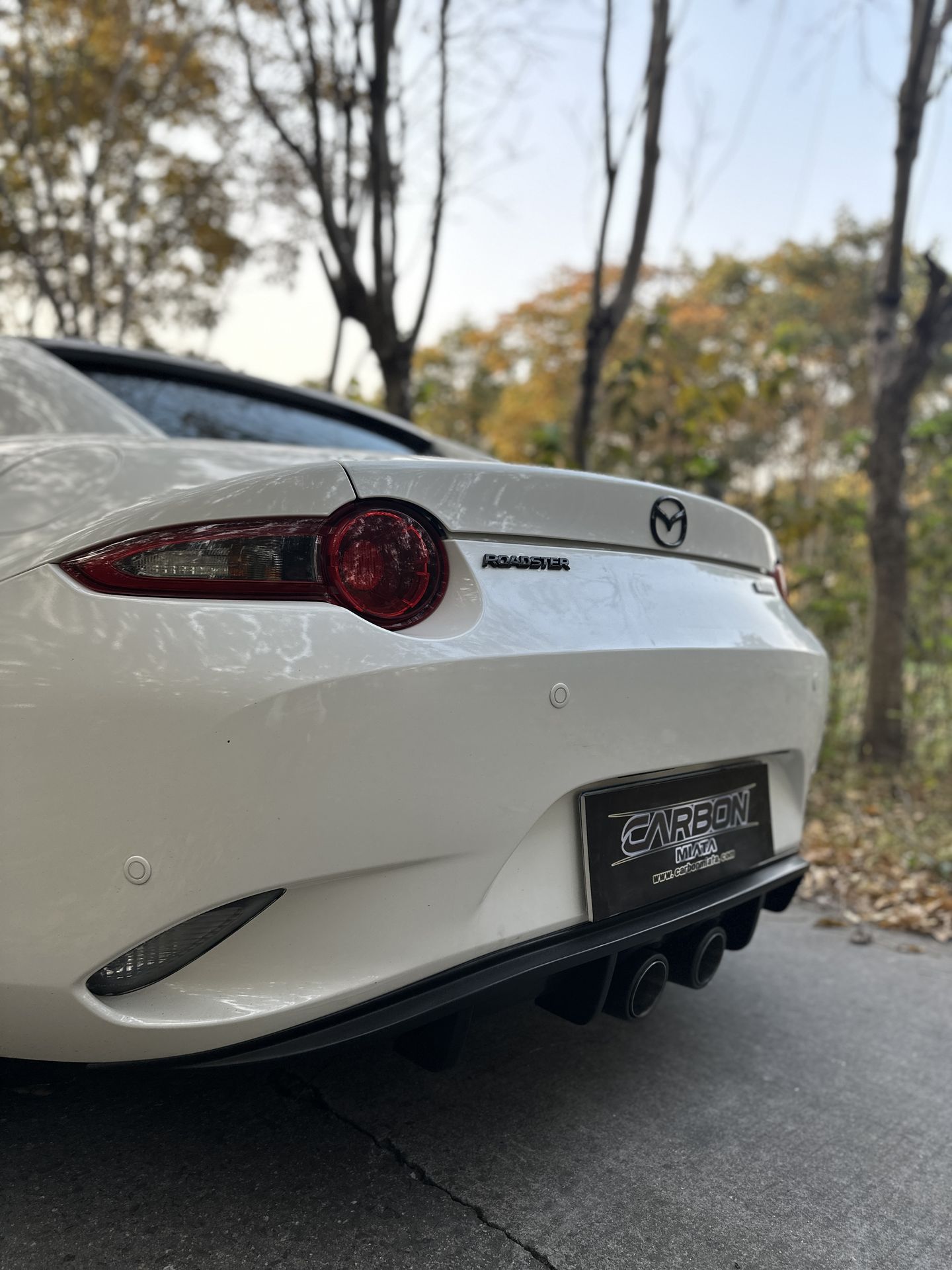 Lightweight Center Exhaust Muffler with Dual Tips + Center Diffuser For ...