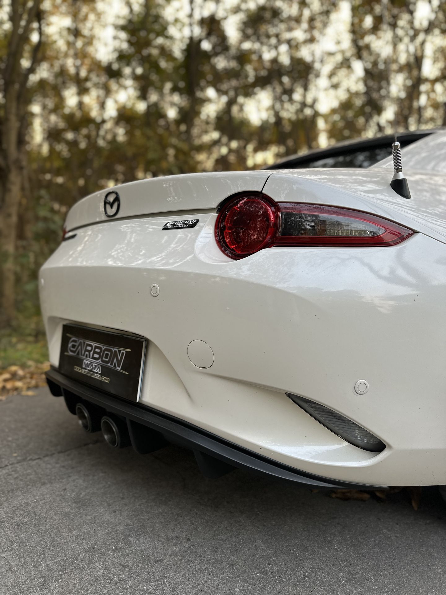 Lightweight Center Exhaust Muffler with Dual Tips + Center Diffuser For ...