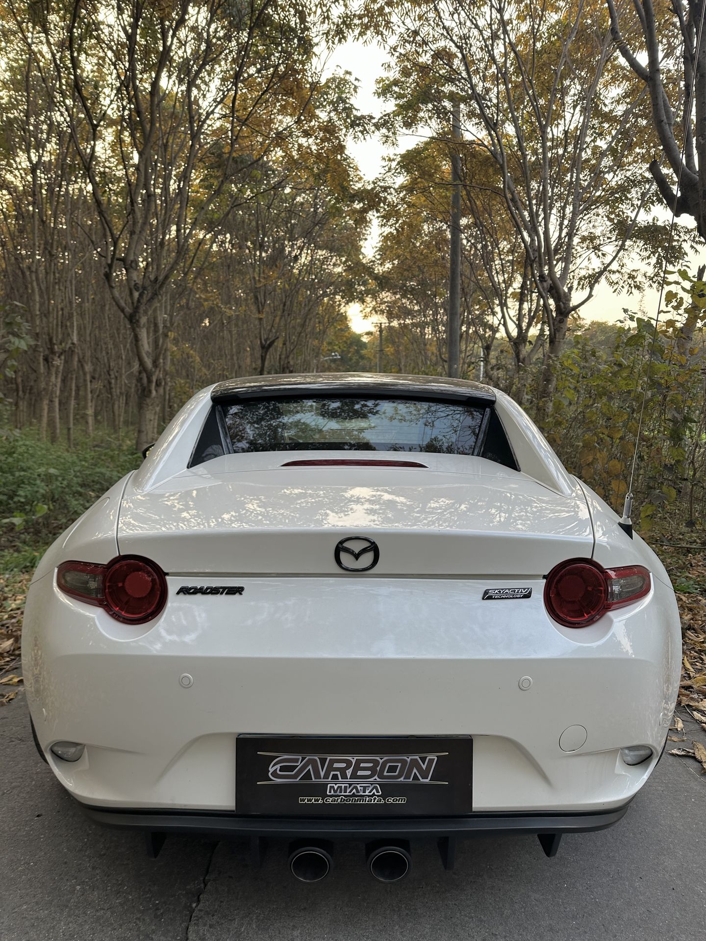 Lightweight Center Exhaust Muffler with Dual Tips + Center Diffuser For ...