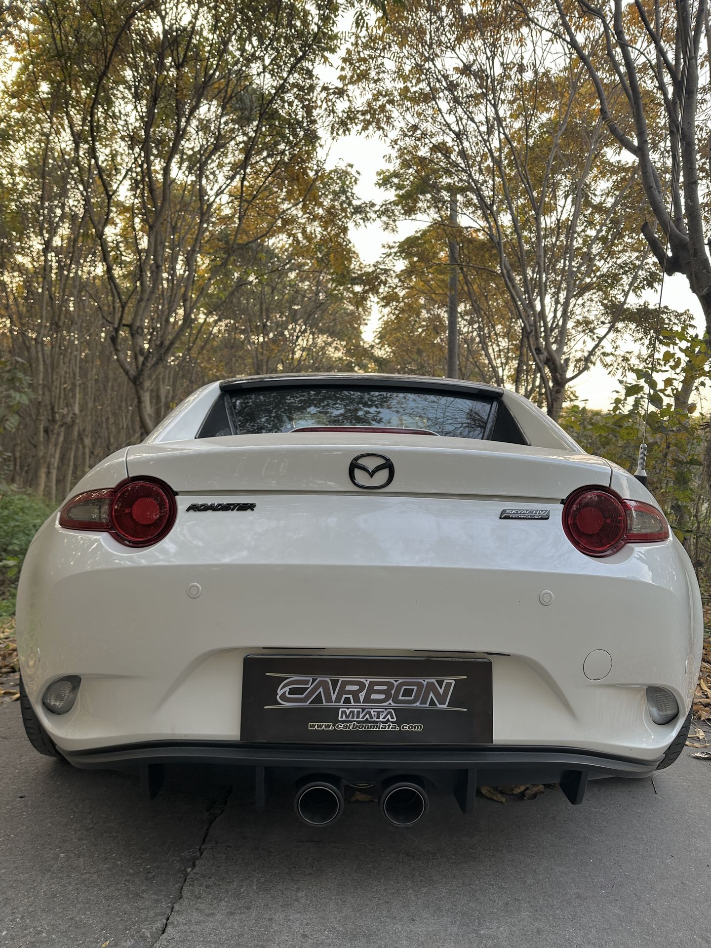 Lightweight Center Exhaust Muffler with Dual Tips + Center Diffuser For ...